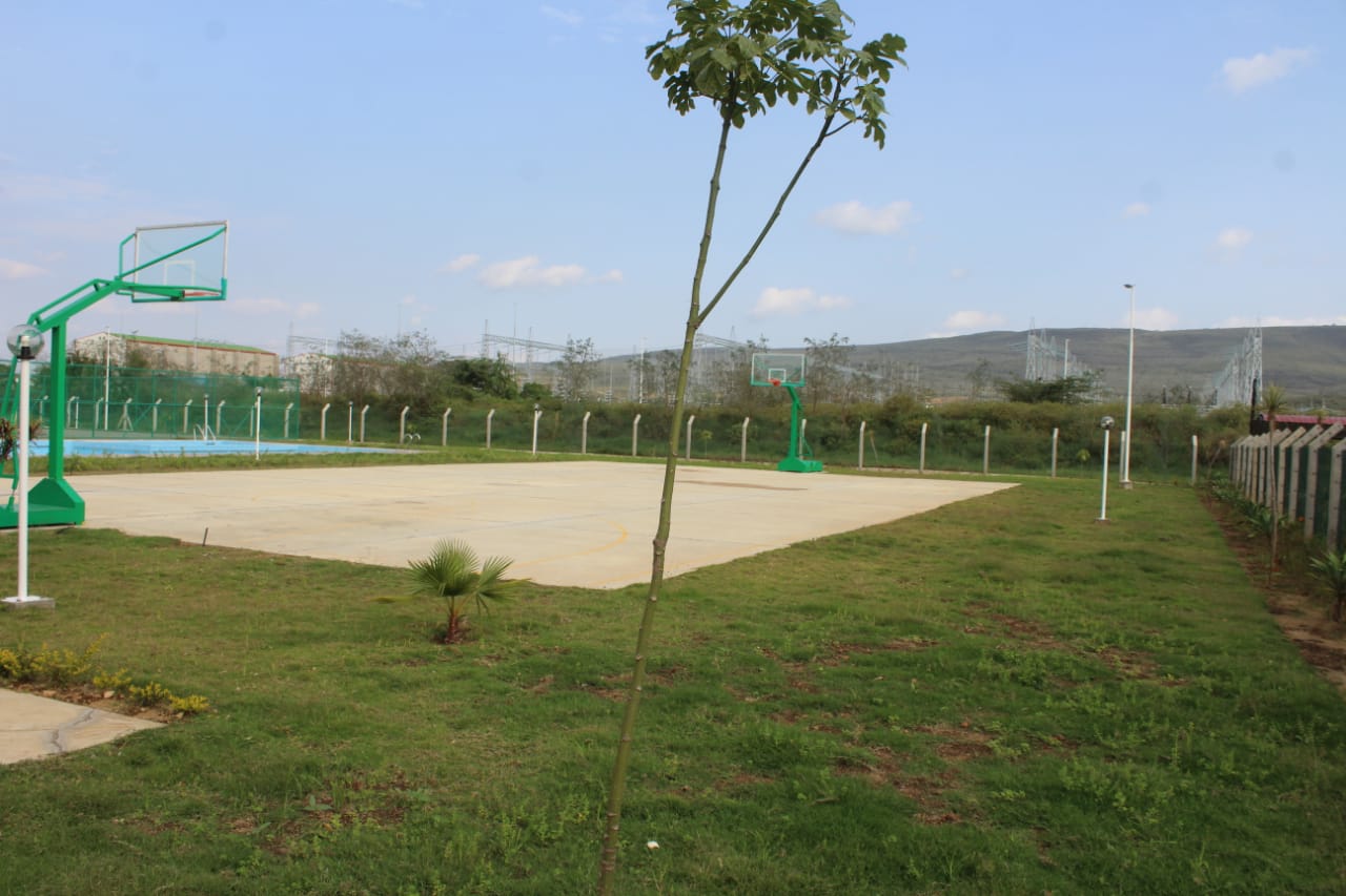 Signature Landscapes Ltd